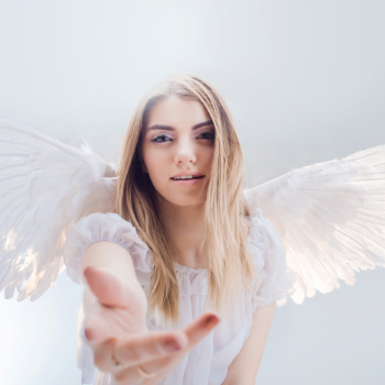 Inanimate Objects » Transformation Paradise